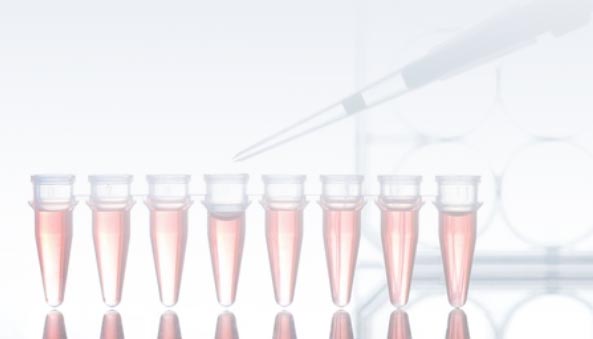 Cell Mutation Test Kits - Creative Diagnostics