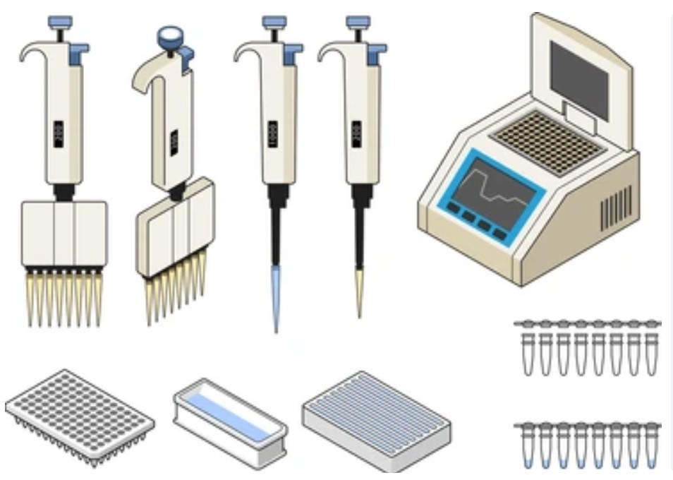 Quantification of Viral Vector Genomic Titers By ddPCR - Creative ...