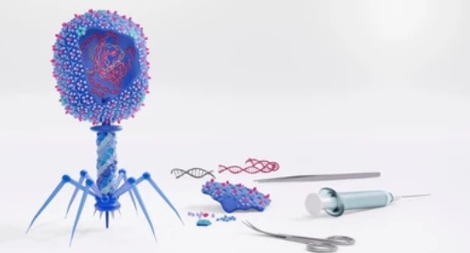 Gene Therapy Vector Assays - Creative Diagnostics