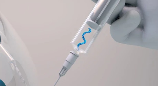 In Vivo Biosafety Testing Creative Diagnostics