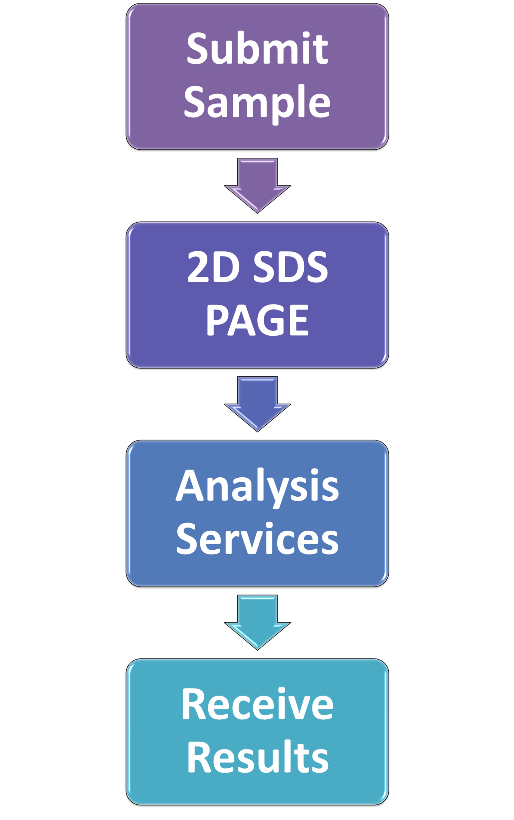 2D PAGE of HCP Samples - Creative Diagnostics