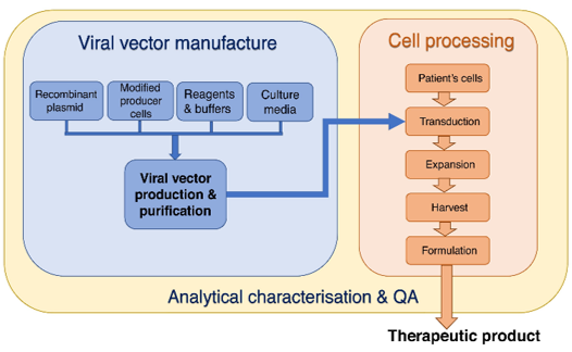 Gene & Cell Therapy Products - Creative Diagnostics