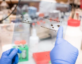 HCP Analytical Services - Creative Diagnostics