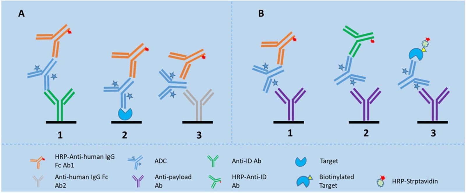 ADC Pharmacokinetic Study - Creative Diagnostics