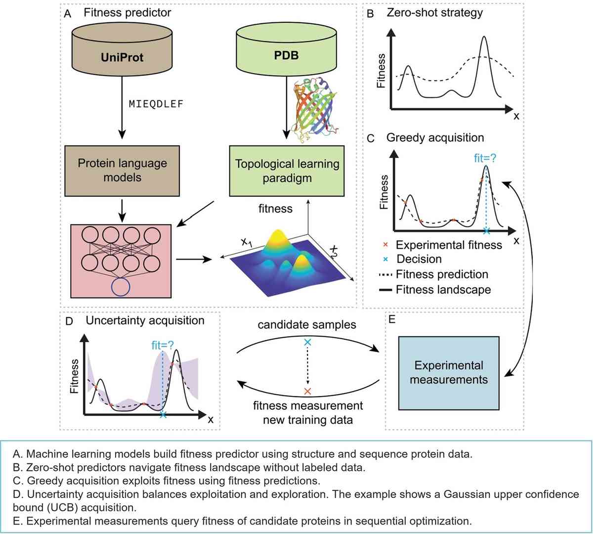 AI-assisted Protein Engineering - Creative Diagnostics