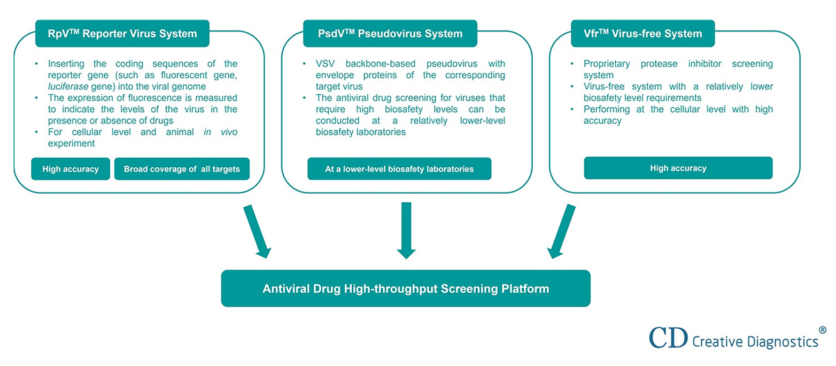 Antiviral Drug High-throughput Screening Platform - Creative Diagnostics