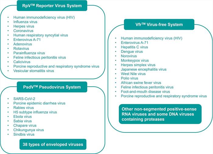 Antiviral Drug High-throughput Screening Platform - Creative Diagnostics Antiviral Drug High-throughput Screening Platform - Creative Diagnostics