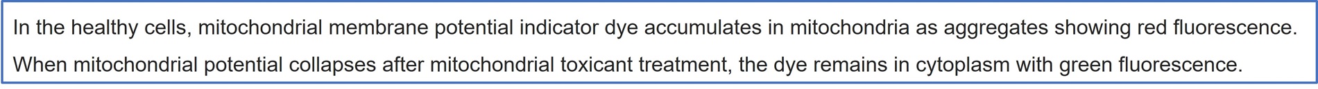 Apoptosis Detection - Creative Diagnostics
