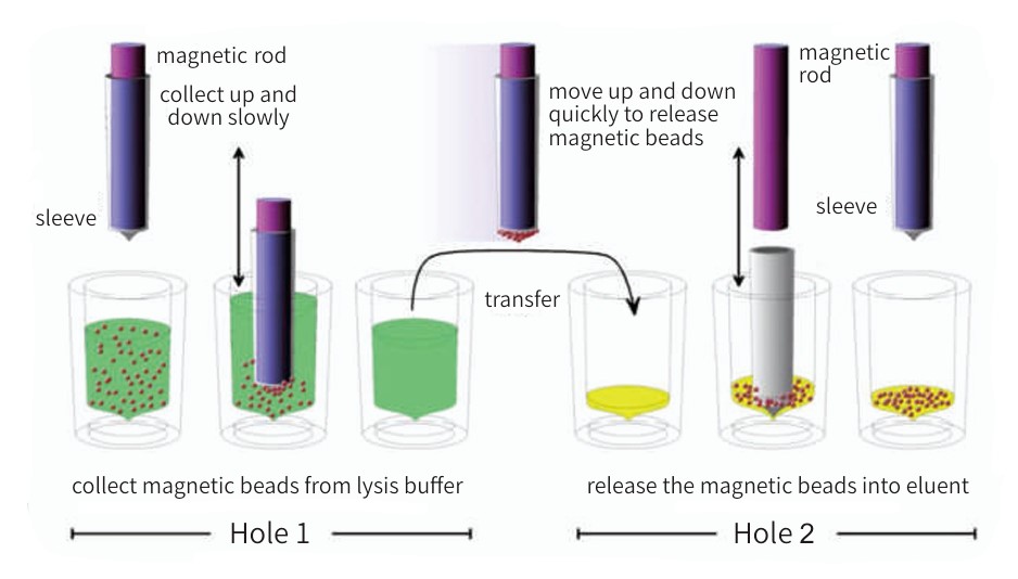 Automatic Nucleic Acid Extractors - Creative Diagnostics