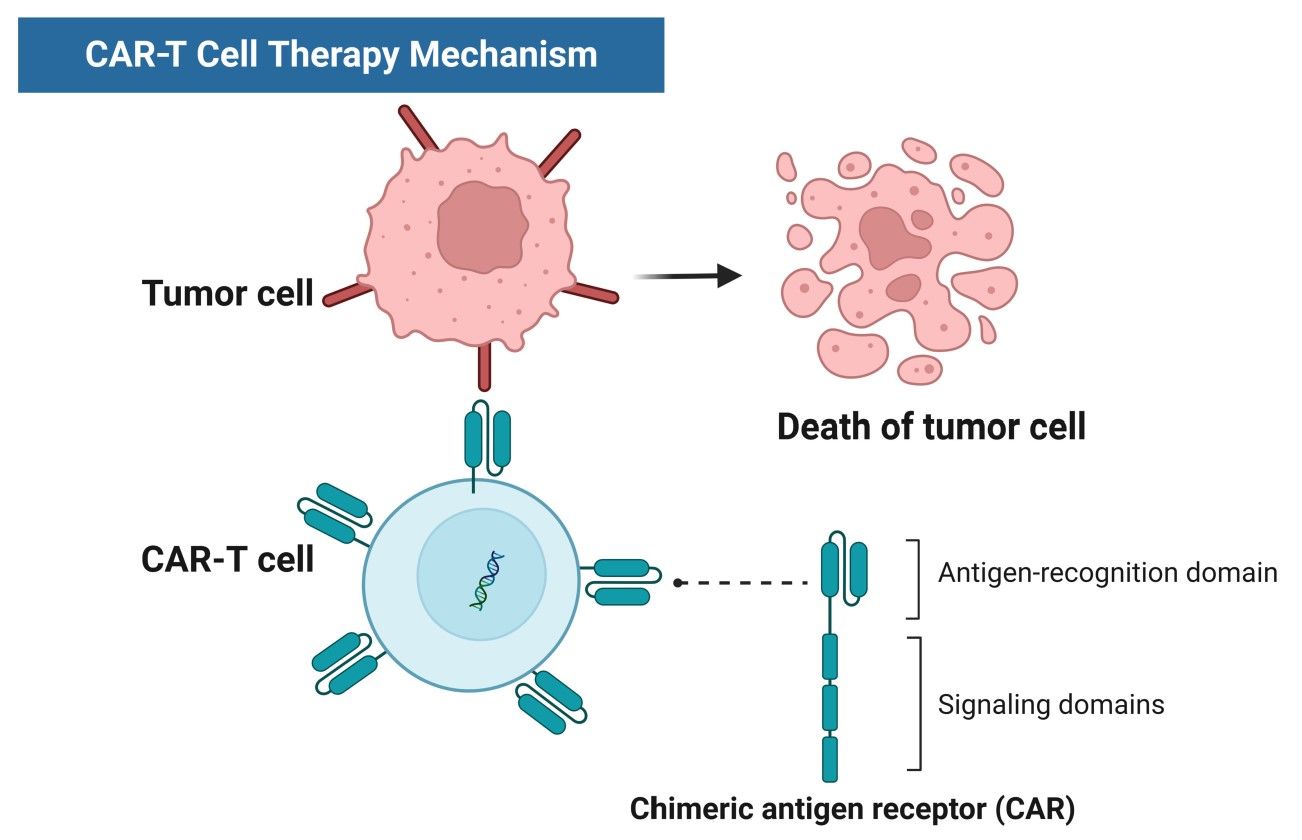 CD19 CAR-T Cell Preparation Kits - Creative Diagnostics