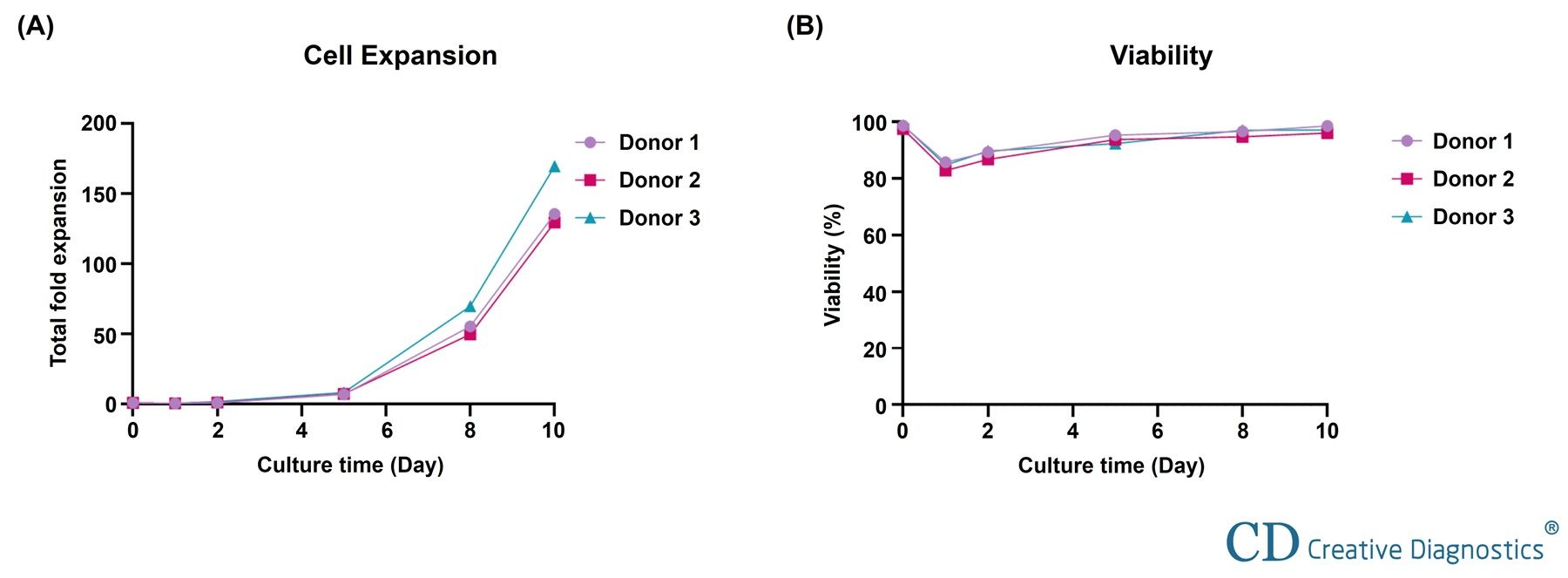 CD19 CAR-T Cell Preparation Kits - Creative Diagnostics