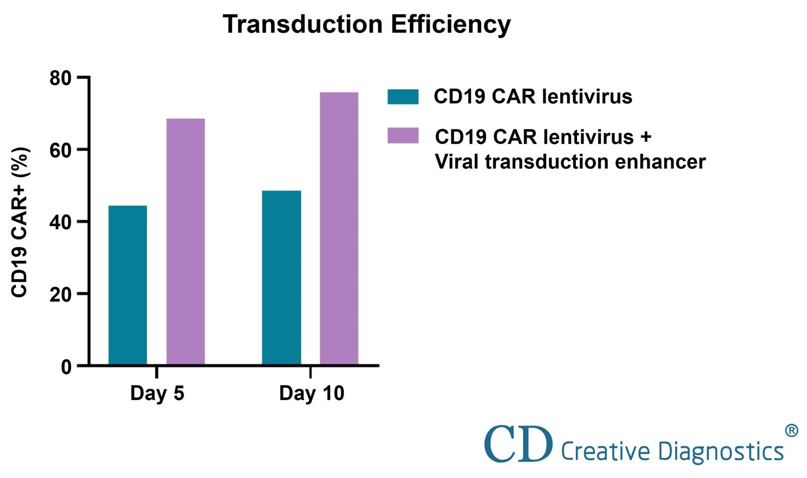 CD19 CAR-T Cell Preparation Kits - Creative Diagnostics