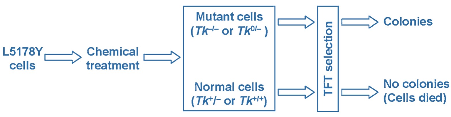 Cell-based Genotoxicity Test Kit - Creative Diagnostics