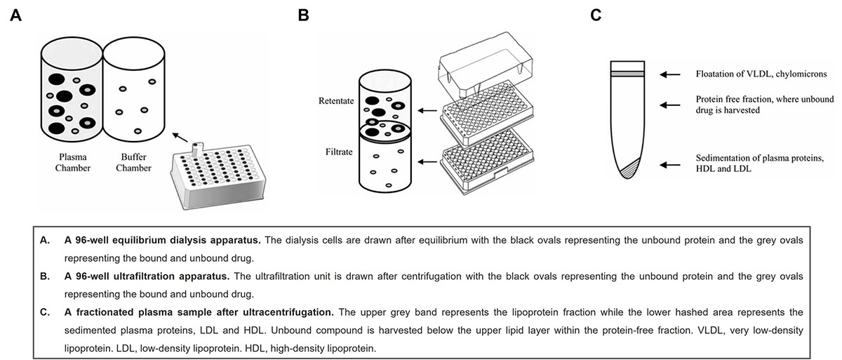 Determination of Plasma Protein Binding Rate - Creative Diagnostics