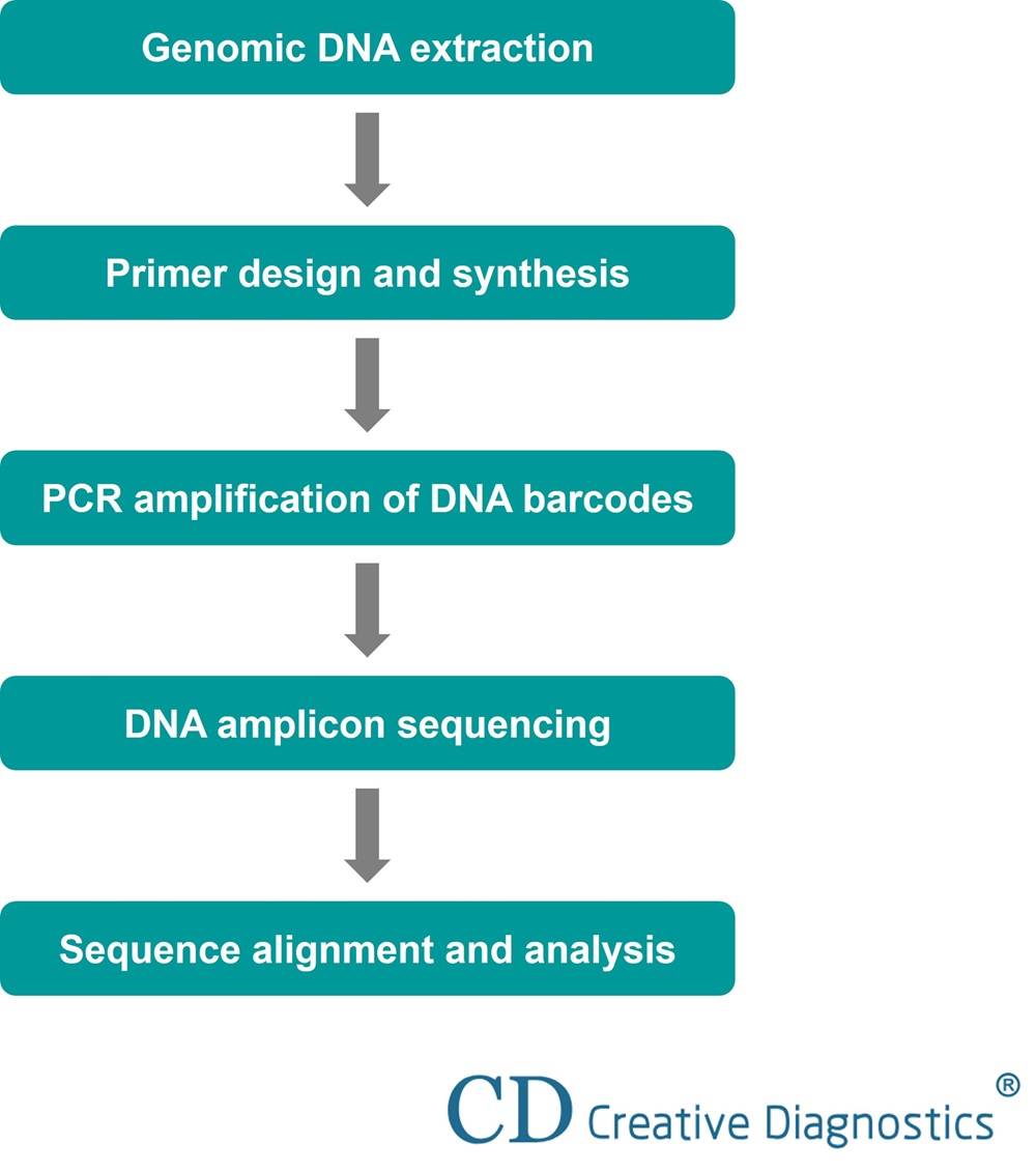 DNA Barcoding - Creative Diagnostics