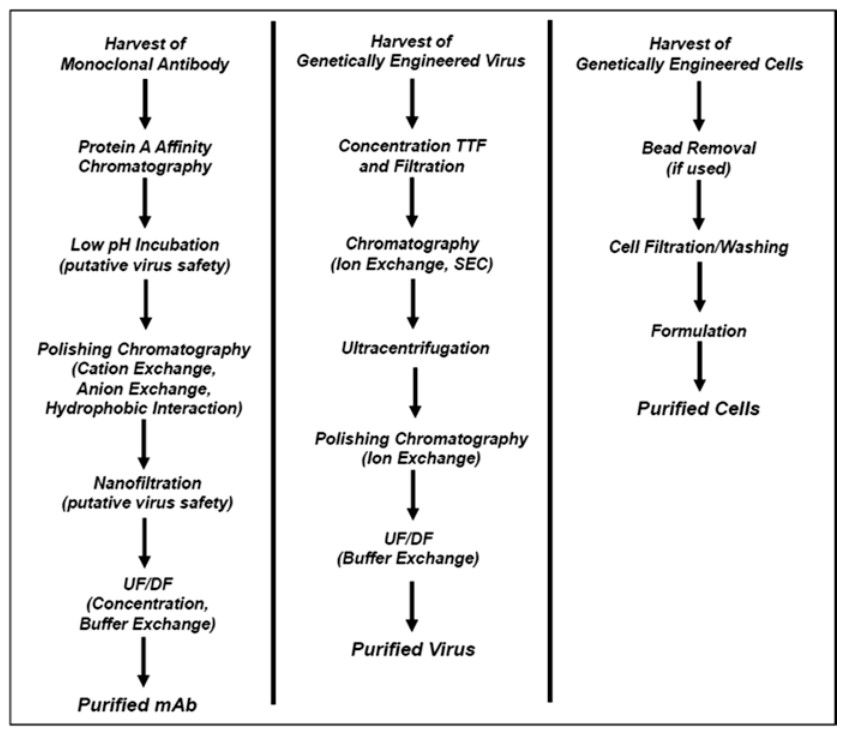 Downstream-derived Impurities ELISA Kits - Creative Diagnostics