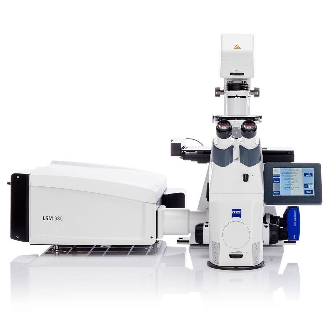 Dynamic Cell Adhesion and Migration Analysis - Creative Diagnostics