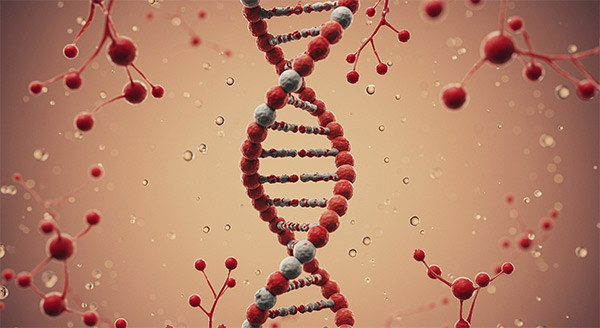 Efficient Residual DNA Quantitation - Creative Diagnostics