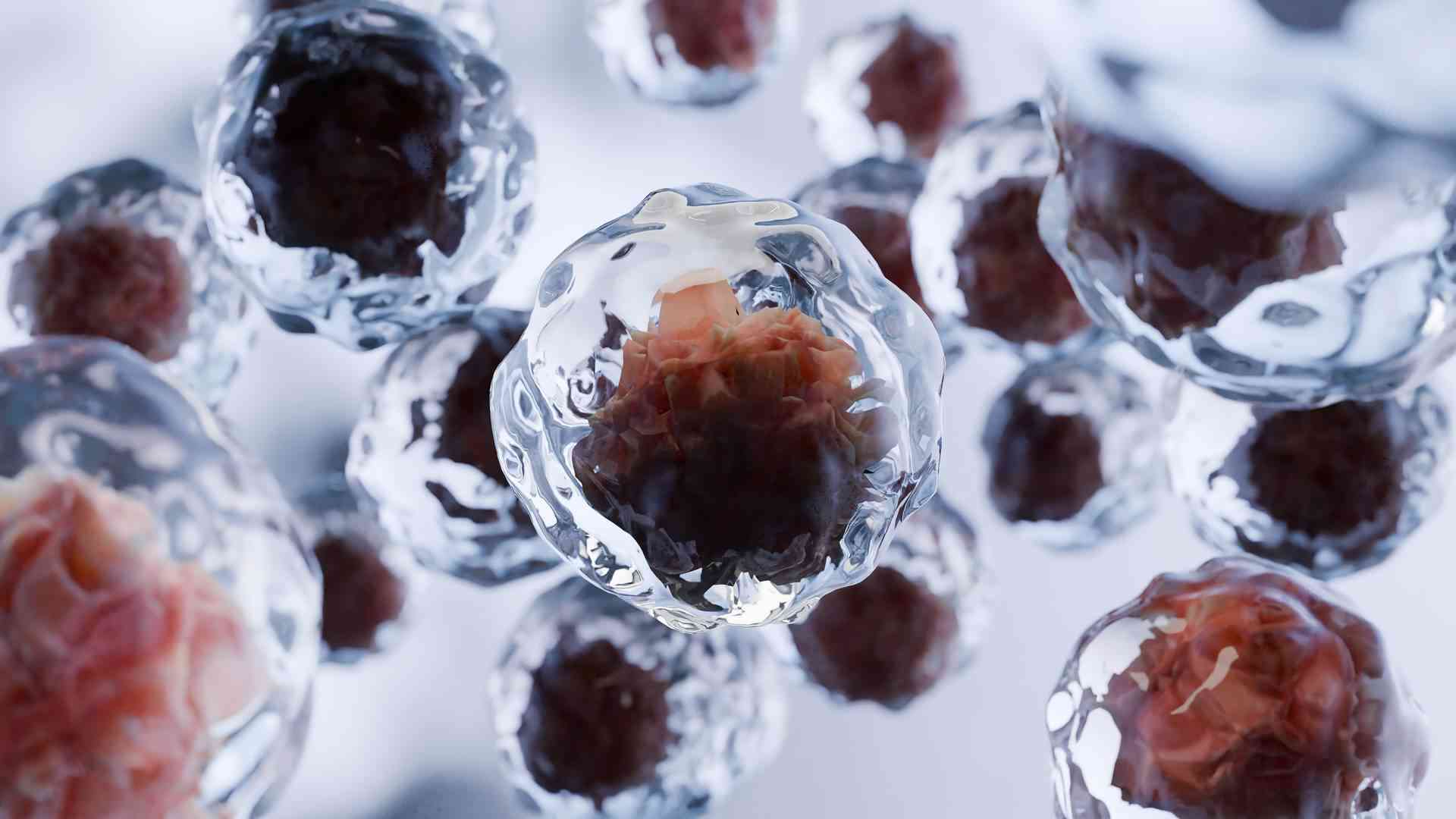 Efficiently Evaluate the Effect of Drugs on Cell Apoptosis - Creative Diagnostics