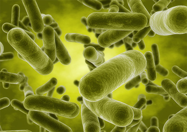 Endotoxins in Biopharmaceuticals - Creative Diagnostics