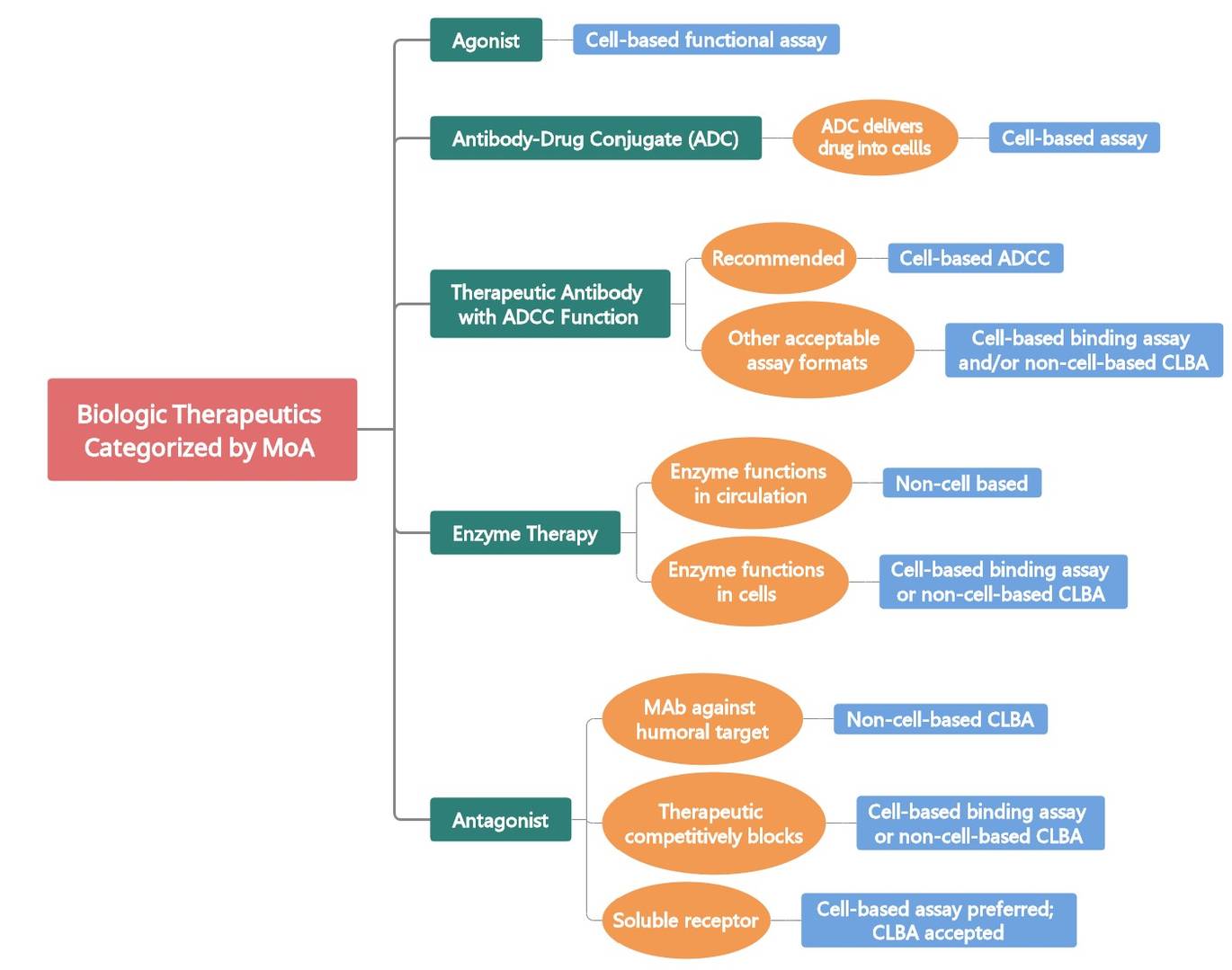 Functional Assays for Detecting Anti-drug Neutralizing Antibody ...