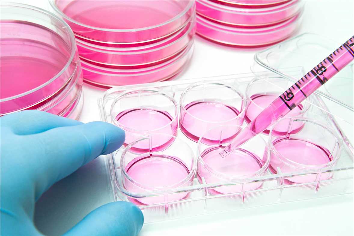 Gene & Cell Therapy Products - Creative Diagnostics
