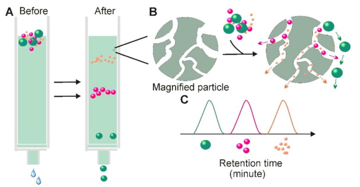 Impurity Analysis of Biological Drugs - Creative Diagnostics