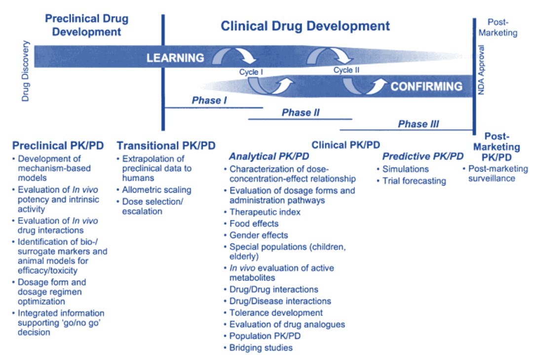 In vivo Pharmacokinetic Studies of Biological Drugs - Creative Diagnostics