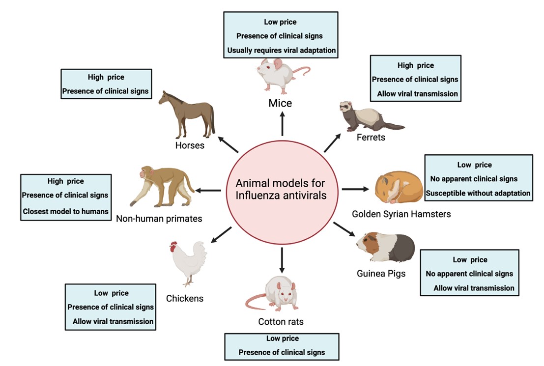 Infectious Disease Models Creative Diagnostics