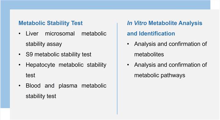 Metabolic Stability and Metabolite Analysis of Drugs - Creative Diagnostics