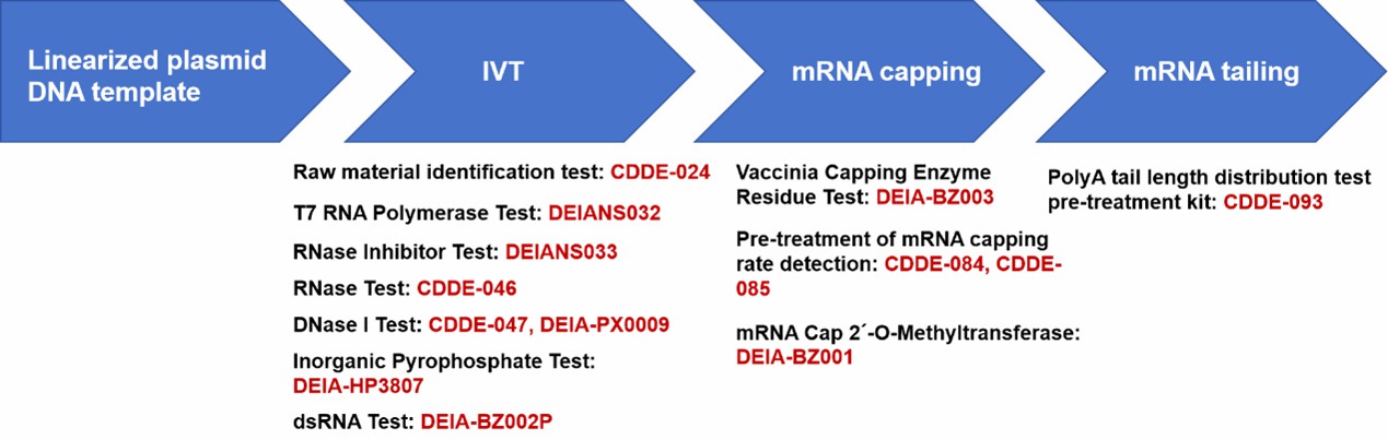 mRNA Solution Quality Control - Creative Diagnostics