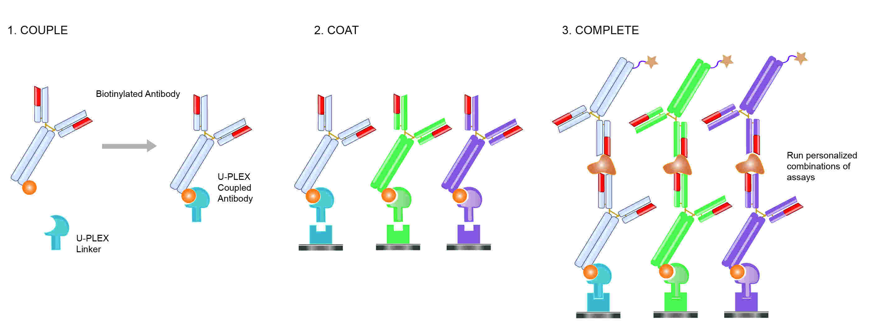 MSD Customized Plex Assay - Creative Diagnostics