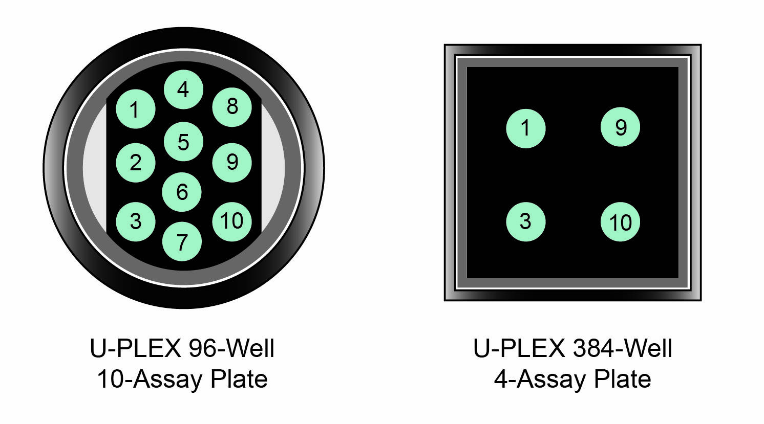MSD Customized Plex Assay - Creative Diagnostics