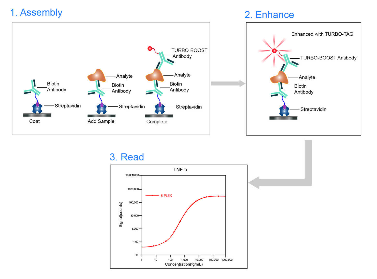 MSD Ultrasensitive Plex Assay - Creative Diagnostics