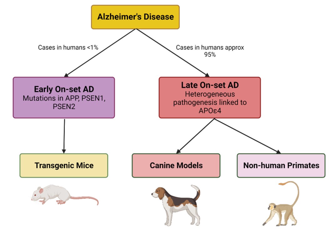 Neurological Disorder Models - Creative Diagnostics