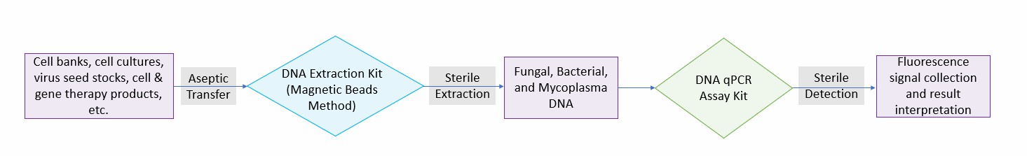 Ensuring Biopharmaceutical Purity: Sterile Assay Kits for Fungal ...