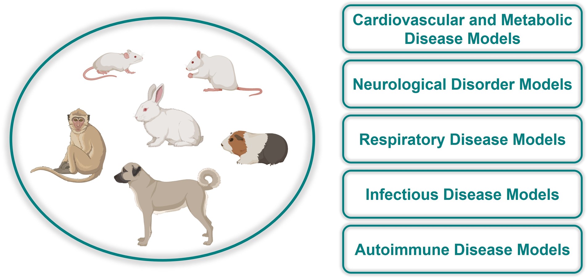 Non-tumor Animal Models - Creative Diagnostics