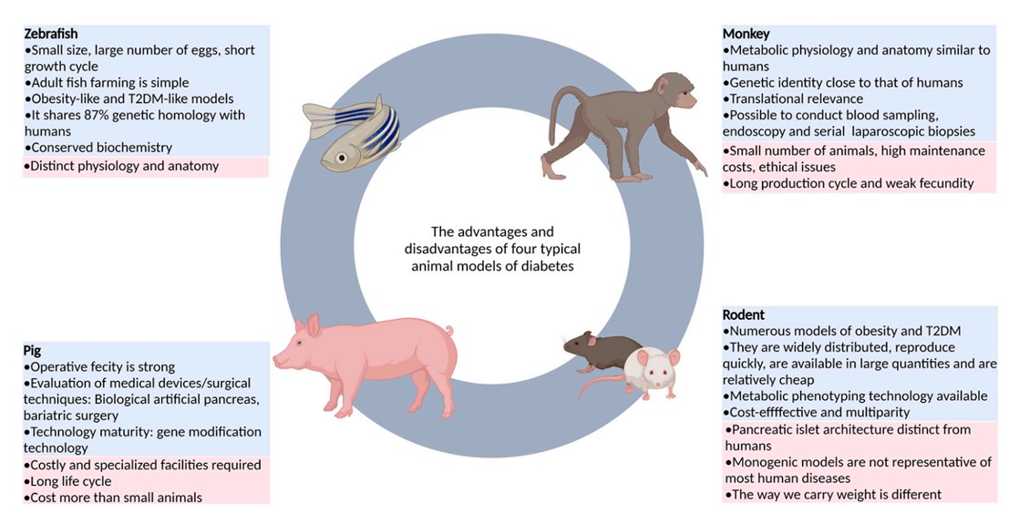 Non-tumor Animal Models - Creative Diagnostics