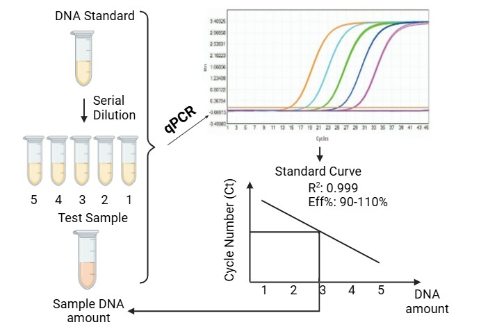 Nucleic Acid Residue Assay Kits (qPCR) - Creative Diagnostics