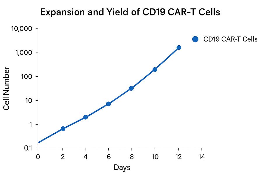 Premium-grade CD19 CAR-T Cell Preparation Kits - Creative Diagnostics