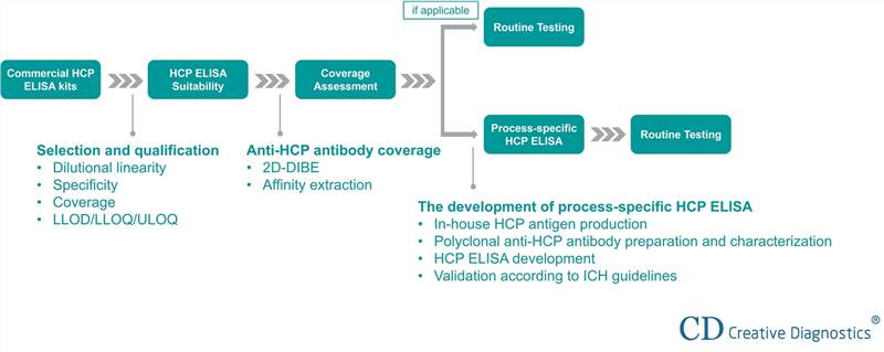 Process-Specific HCP ELISA Kit Development - Creative Diagnostics