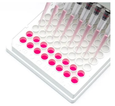 Protein Level Analysis for Biological Drugs - Creative Diagnostics
