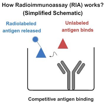 Protein Level Analysis for Biological Drugs - Creative Diagnostics