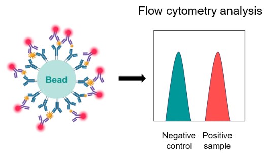 Protein Level Analysis for Biological Drugs - Creative Diagnostics