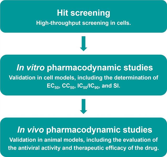 RpVᵀᴹ Reporter Virus-based Drug Screening System - Creative Diagnostics