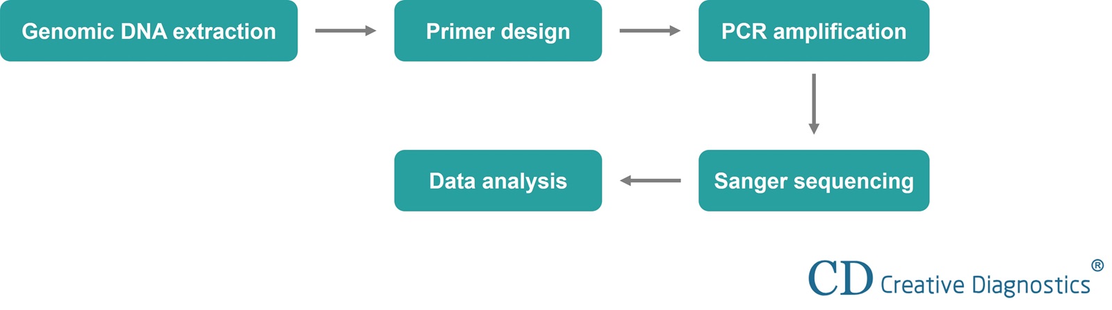 SNP Genotyping Services - Creative Diagnostics