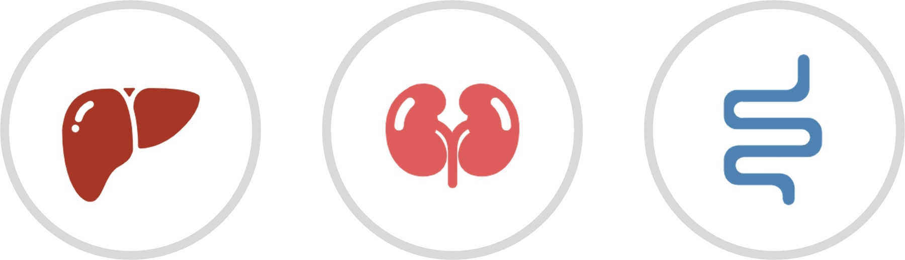 Subcellular Fractions for In Vitro Metabolism Studies - Creative Diagnostics