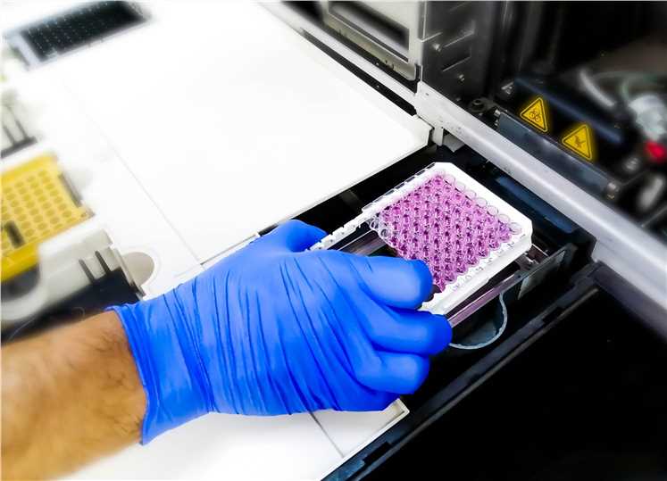 Therapeutic mAbs & Proteins - Creative Diagnostics Therapeutic mAbs & Proteins - Creative Diagnostics