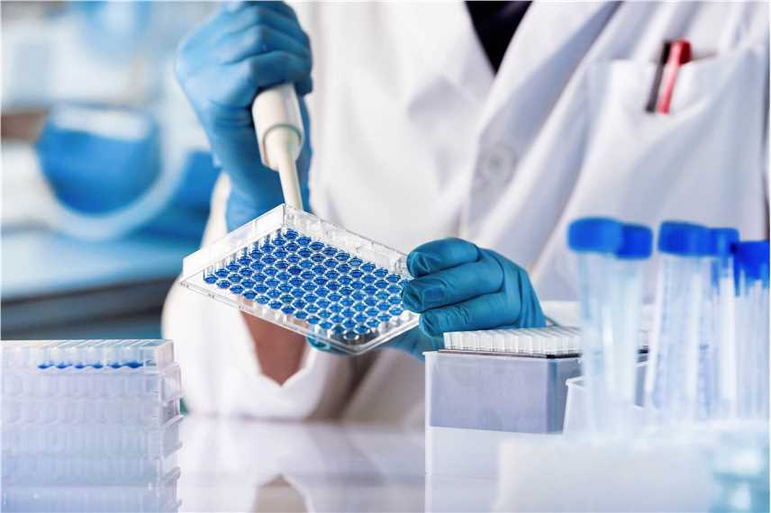Therapeutic mAbs & Proteins - Creative Diagnostics Therapeutic mAbs & Proteins - Creative Diagnostics