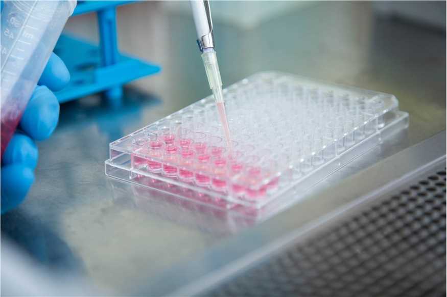 Therapeutic mAbs & Proteins - Creative Diagnostics